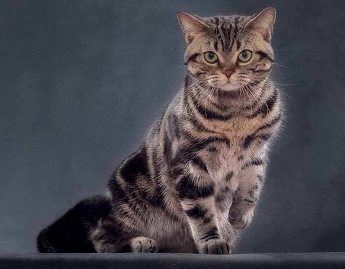 Pilih Jenis Unik - Trubus