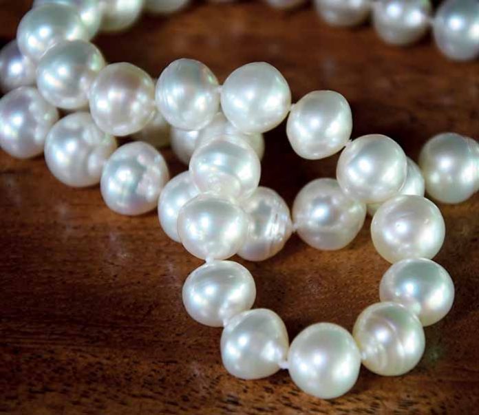 Ladang Mutiara - Trubus