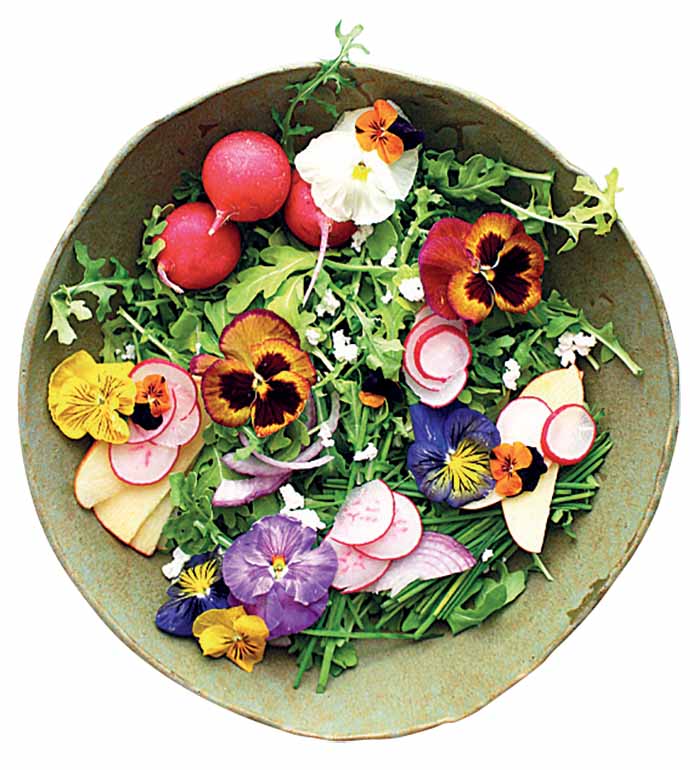 Merawat Sayuran Bunga - Trubus