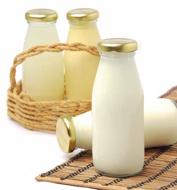 Kefir, Minuman Fermentasi Penunjang Daya Tahan Tubuh - Trubus