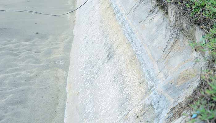 Beton Bambu di Atas Pasir - Trubus
