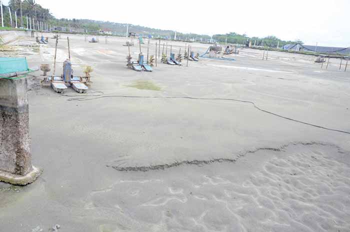 Beton Bambu di Atas Pasir - Trubus