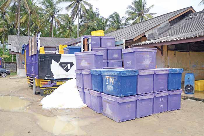 Beton Bambu di Atas Pasir - Trubus
