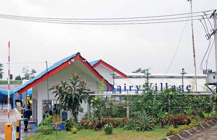 Peternakan Modern Desa Susu - Trubus