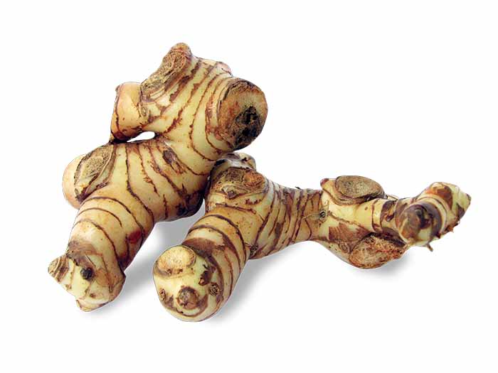 Rival Baru Tuberkulosis - Trubus