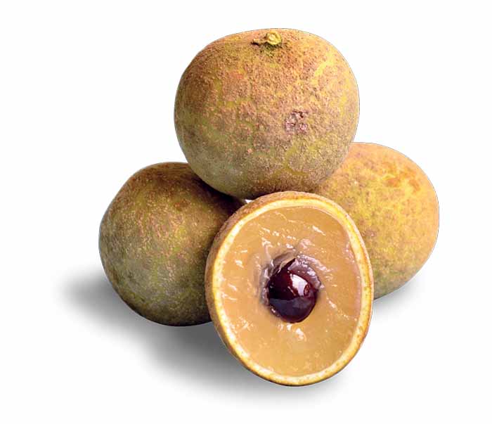 Longan Pemikat Kaum Pelesiran - Trubus