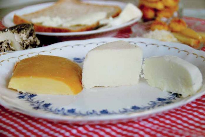 Tiga Ragam Keju - Trubus