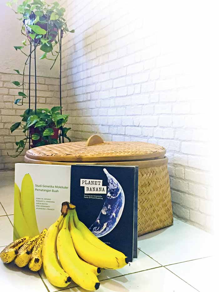 Pisang Matang Tahan 9 Hari - Trubus