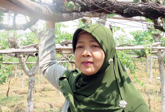 “Tentukan Target Pasar Anggur” - Trubus