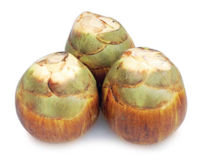 Pilih Buah atau Nira - Trubus