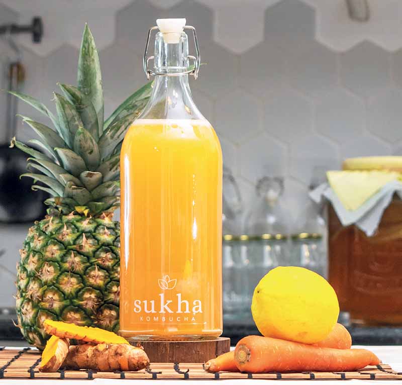 Sejuta Rasa Kombuca - Trubus