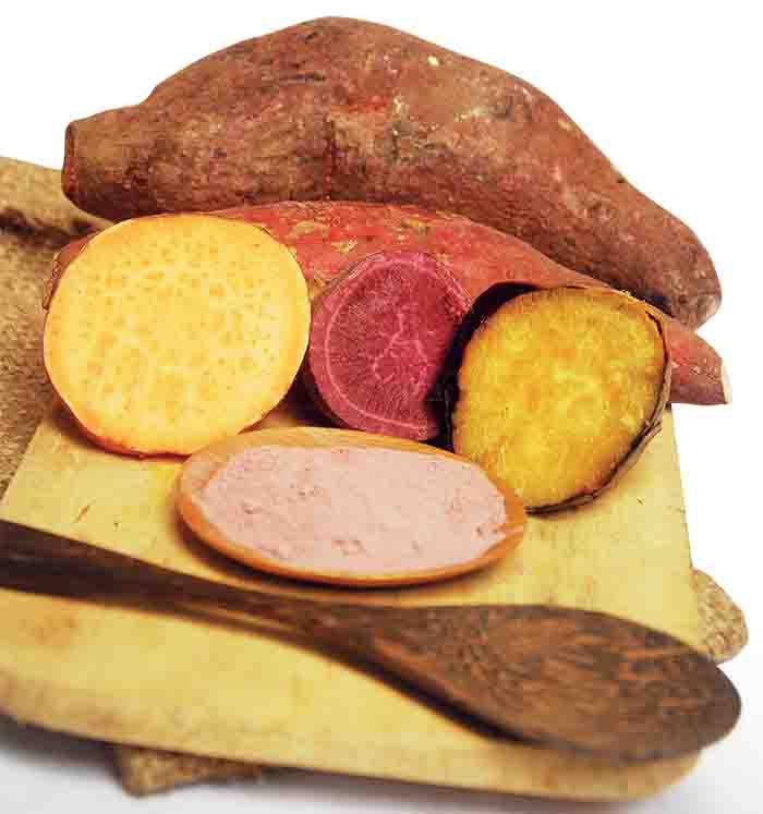 Ubi Pilihan Mancanegara - Trubus