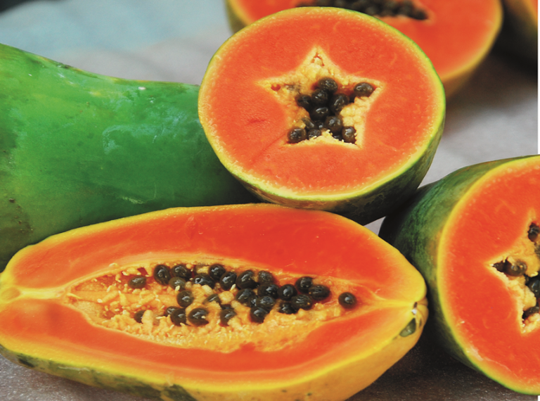 Enam Pepaya Eksklusif Pilihan Pasar - Trubus