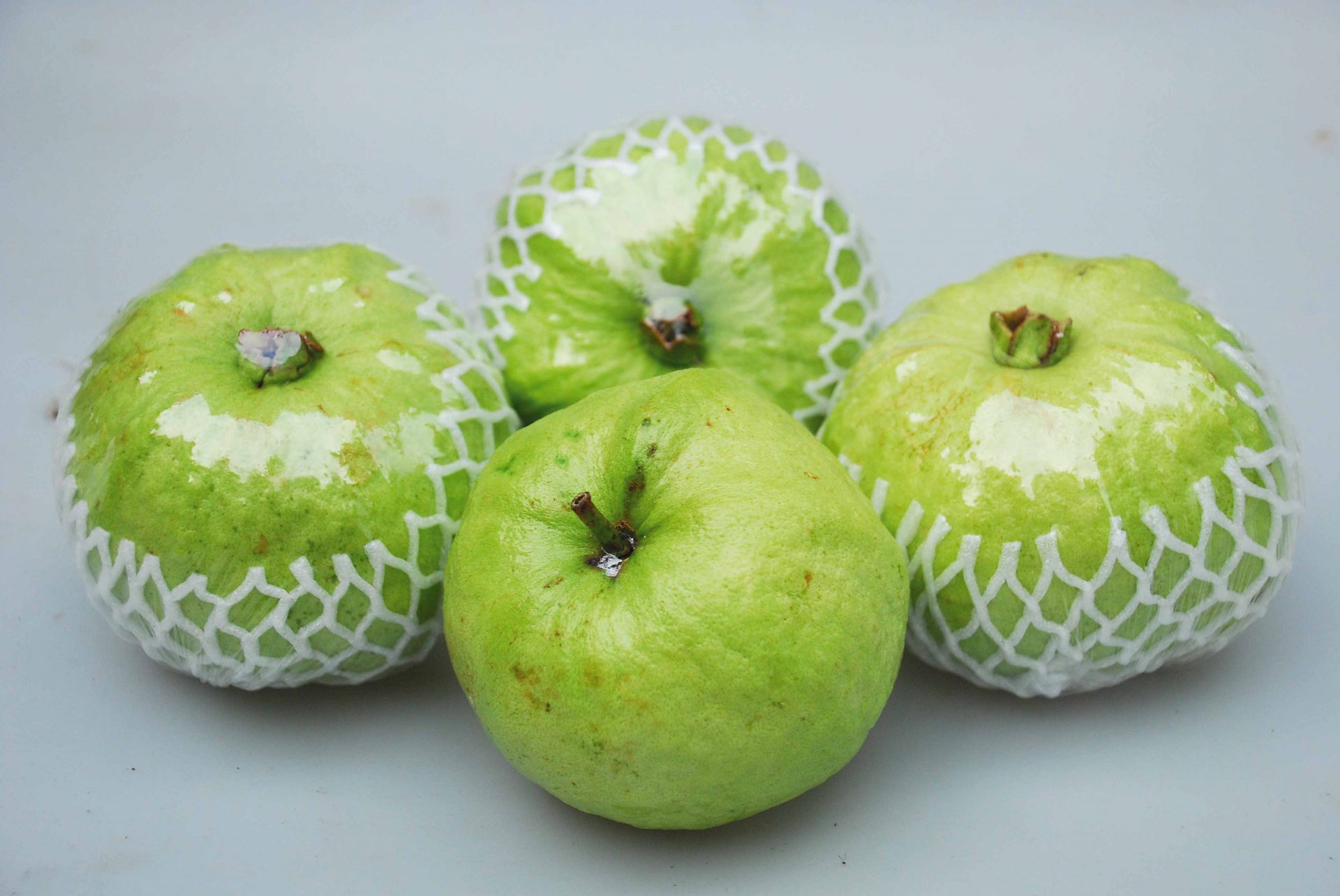 Berkembang Bersama Jambu Kristal - Trubus