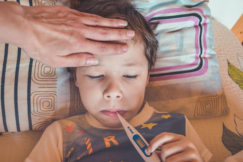 Kurangi Mengonsumsi Makanan Ini untuk Menghindari Panas Dalam - Trubus