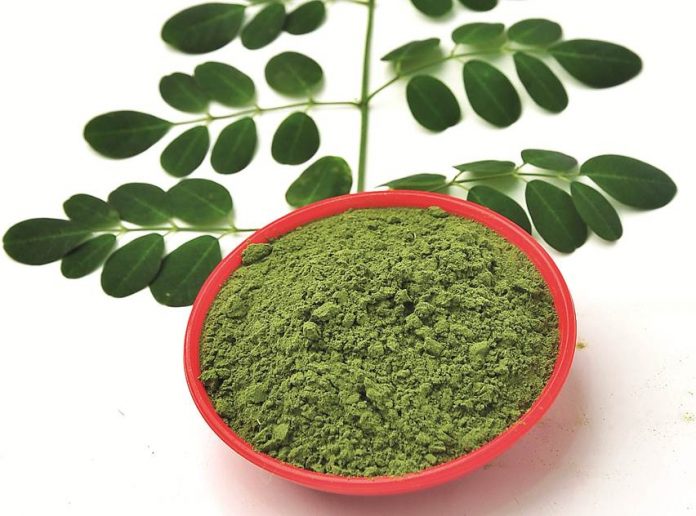 Kiat Membuka Pasar Moringa untuk Mancanegara - Trubus