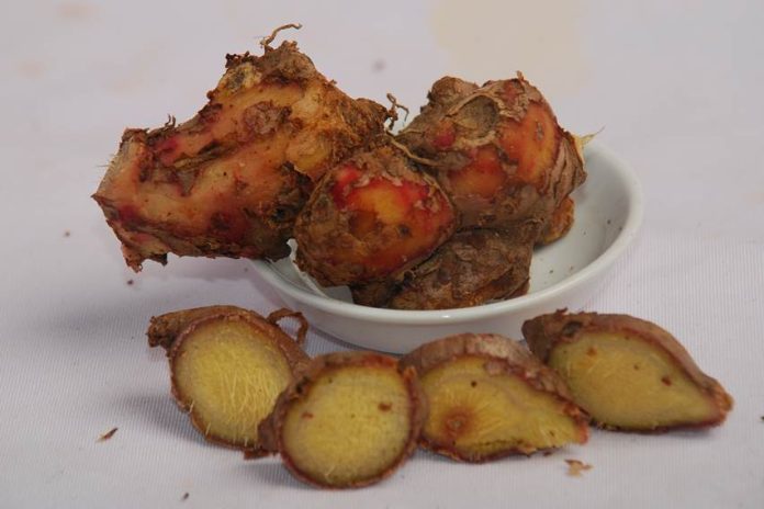 Mengenal Manfaat Jahe yang Dikenal sebagai Bahan Campuran Minuman ...