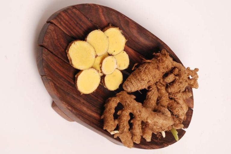 Herbal Rimpang Bangle untuk Turunkan Bobot Tubuh - Trubus