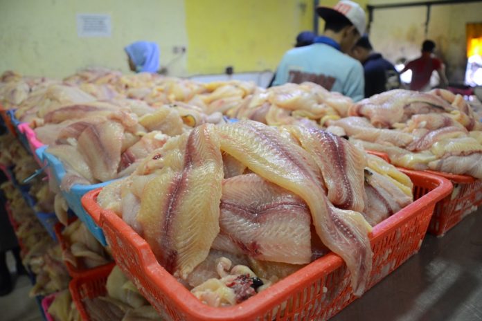 Cara Mudah Bikin Filet Lele dan Patin Sendiri - Trubus