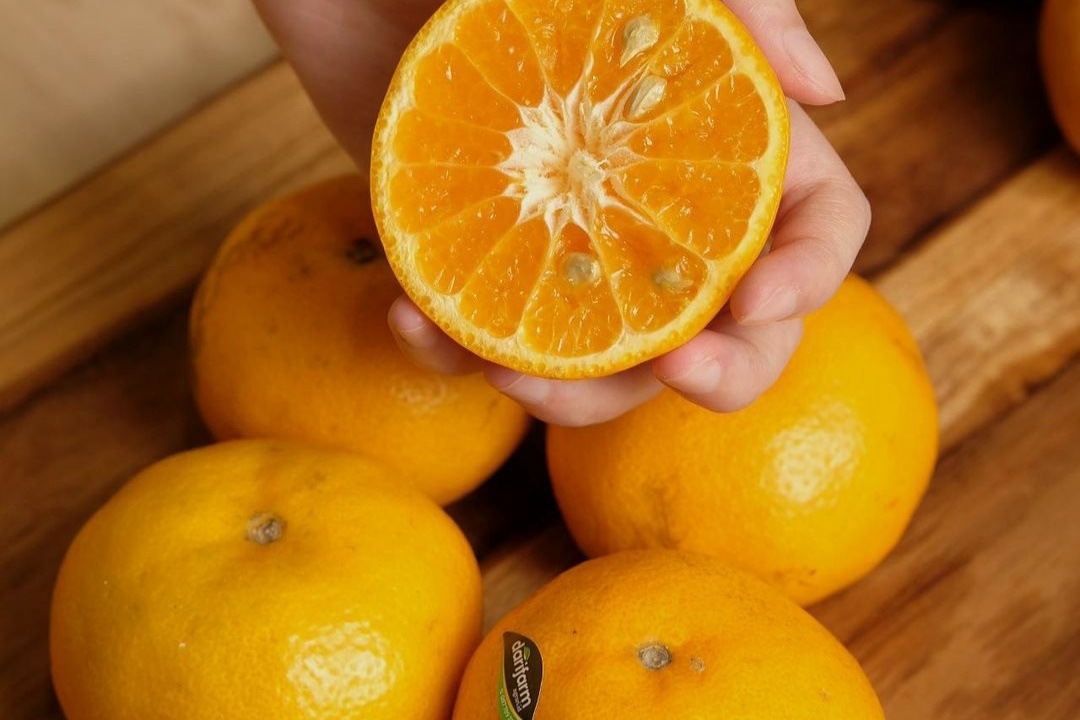 Jeruk Siam Berpenampilan Mulus Berkulit Jingga Menarik Minat Konsumen ...