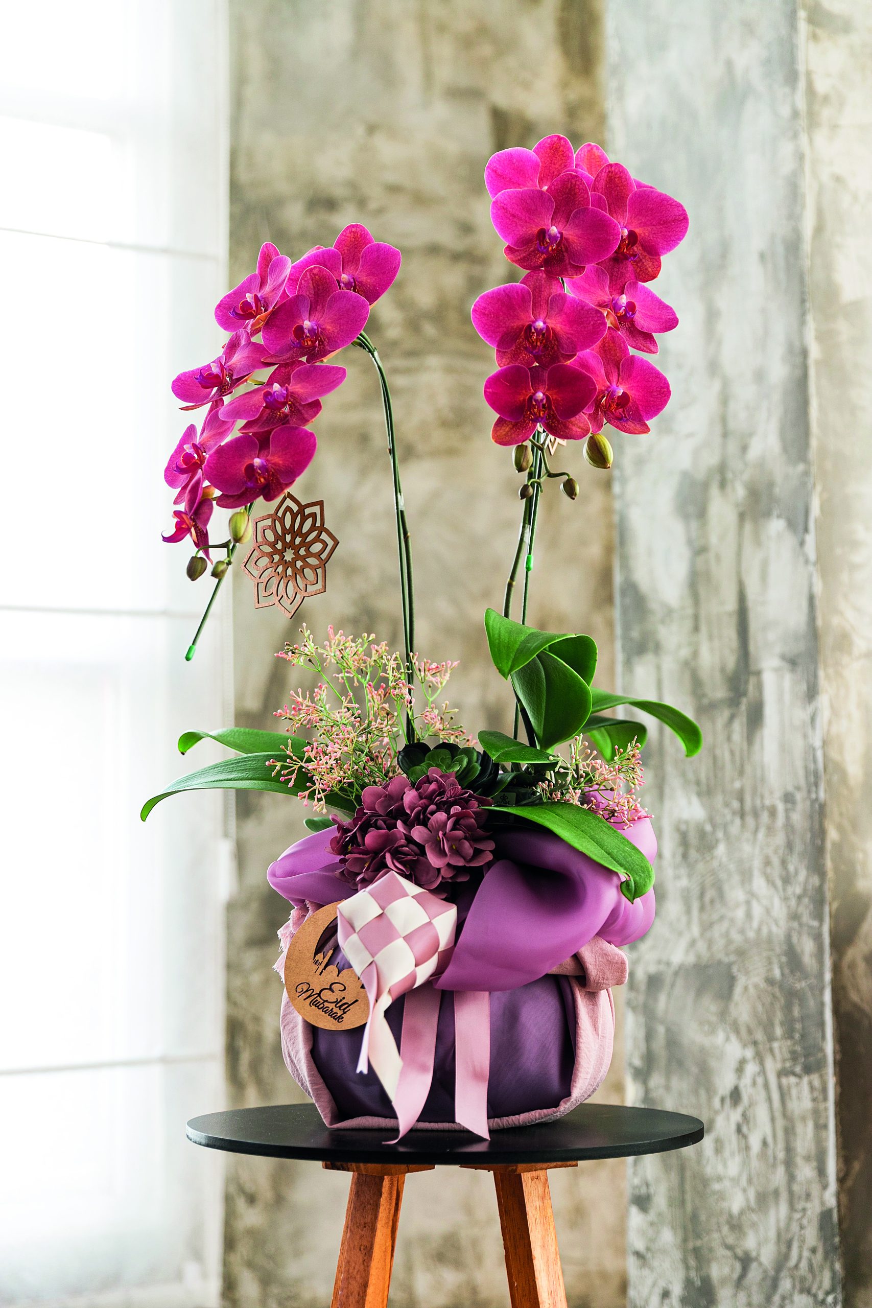 Semarak Rangkaian Bernuasa Idulfitri dari Anggrek Bulan - Trubus