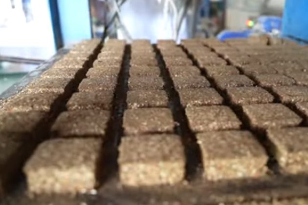 Dosen IPB Ciptakan Wafer Habbatusauda, Tingkatkan Produksi Susu Kambing ...