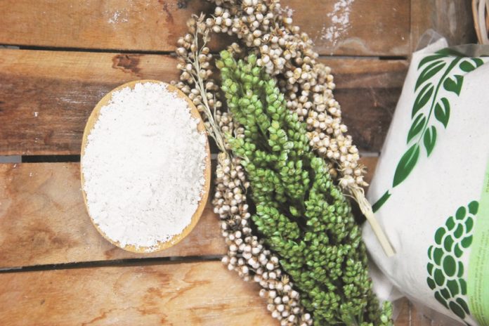 Menguak Potensi Sorgum Dwiguna, Panen Ganda Biji dan Nira - Trubus