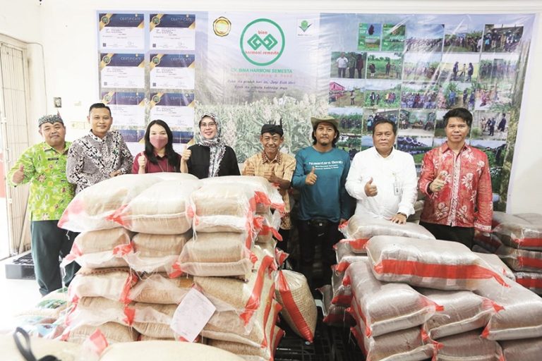Menguak Potensi Sorgum Dwiguna, Panen Ganda Biji dan Nira - Trubus
