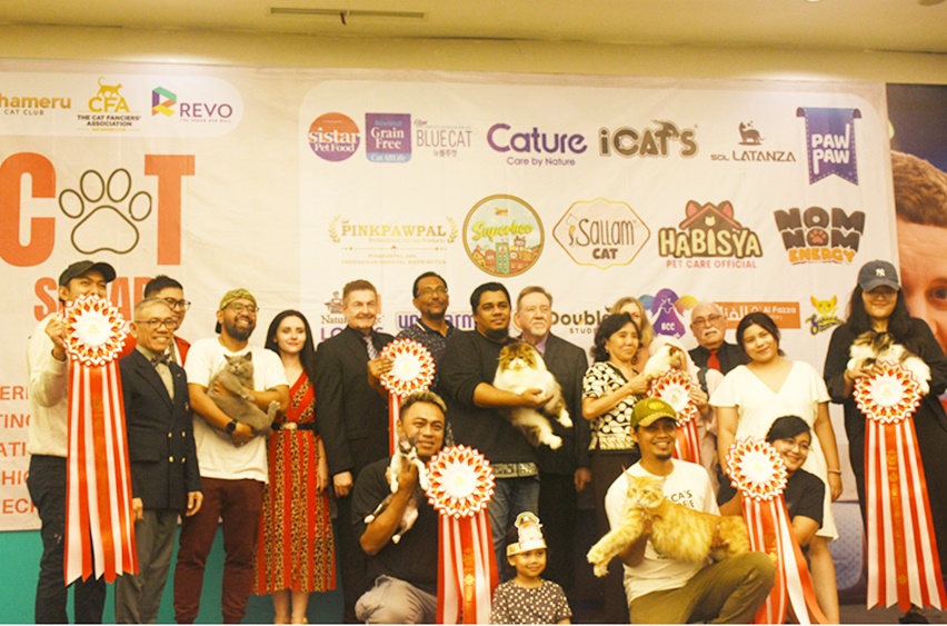 Intip Keseruan Kontes Kucing Internasional Cat Squad: Tujuh Kucing Raih ...