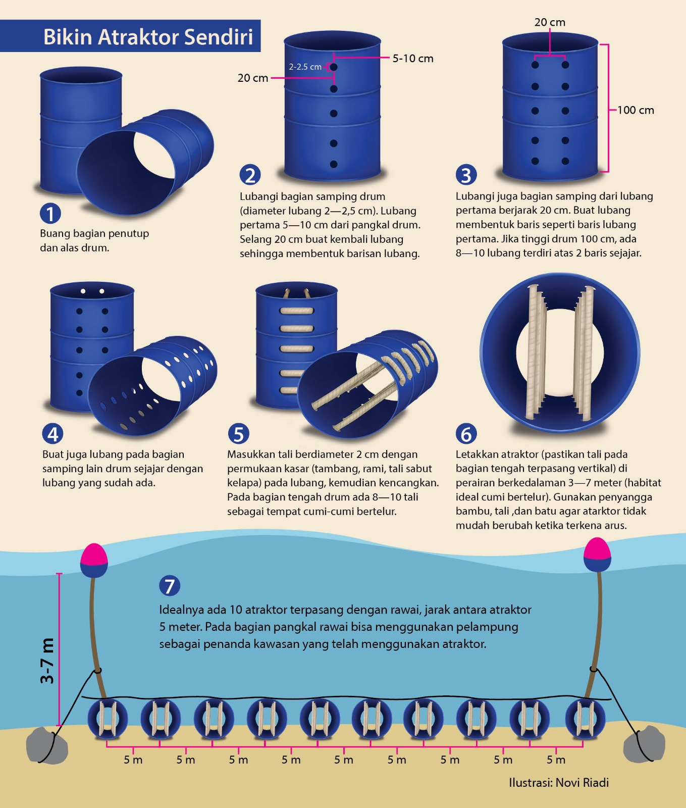 Langkah Bikin Atraktor untuk Undang Cumi-cumi Bertelur - Trubus