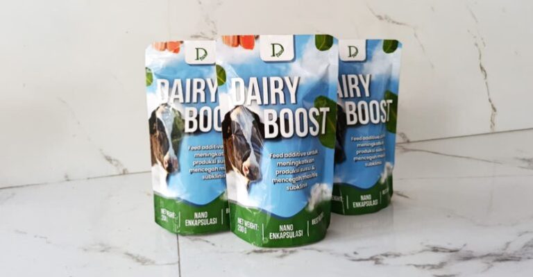 Dairy Boost, Inovasi Mahasiswa IPB Tingkatkan Produksi Susu Hingga 30 ...