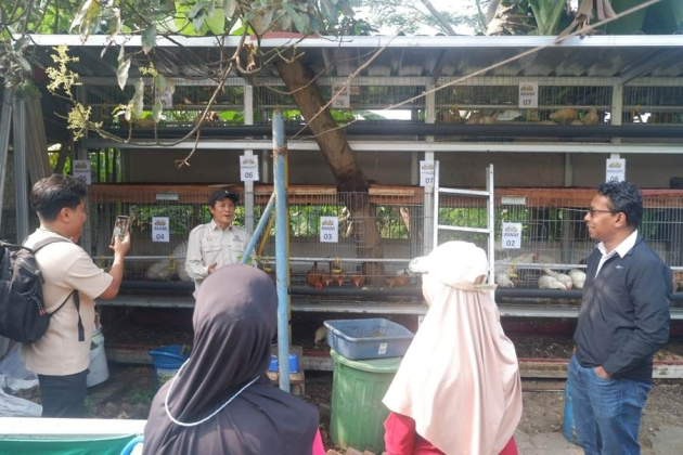 ITB Kembangkan Sistem Maggot, Ayam Petelur, dan Bank Sampah untuk Olah ...